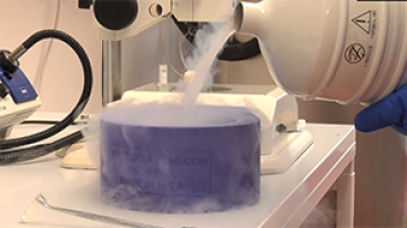 Media Library | Novartis