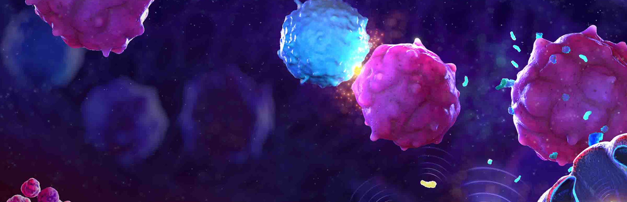 Novartis Oncology