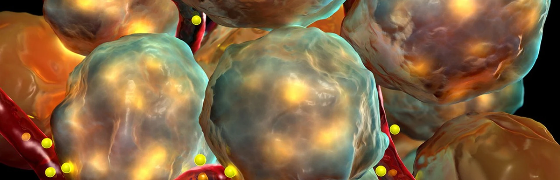 Stepping toward regenerative medicine for diabetes | Novartis