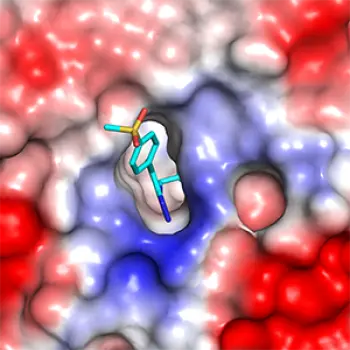 Countering the genome reprogramming of cancer cells | Novartis