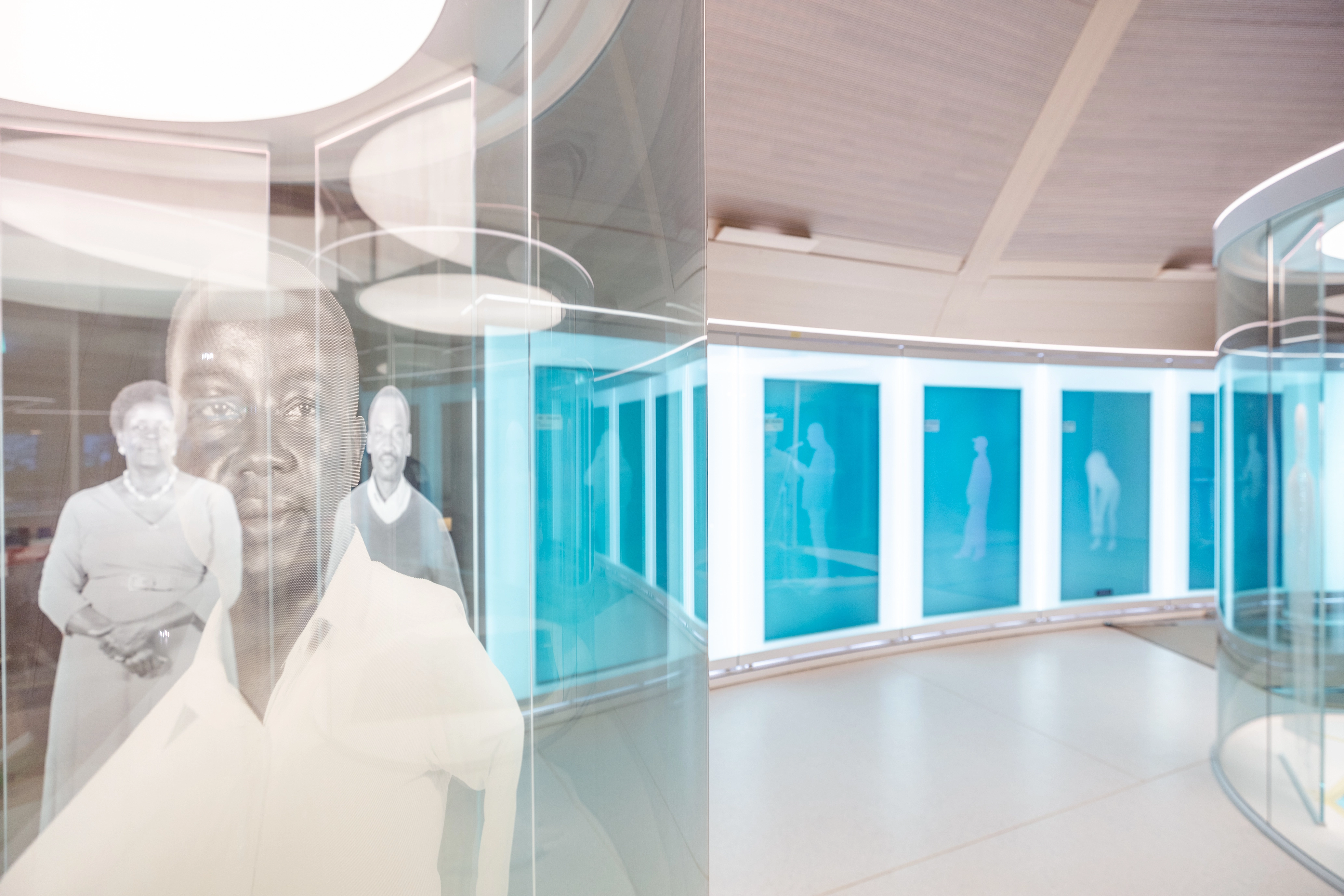 Content area «Fragility of Life» of the Wonders of Medicine exhibition ...